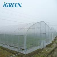 China Low Cost China Wholesale Tunnel Greenhouse For Year Round Crop Growth And Resource Management for sale