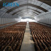 China Low Cost China Wholesale Tunnel Greenhouse For Year Round Crop Growth And Resource Management for sale