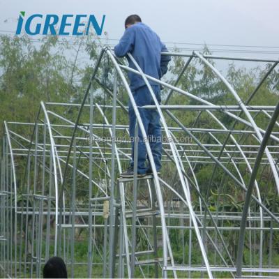 China Low Cost China Wholesale Tunnel Greenhouse For Year Round Crop Growth And Resource Management for sale