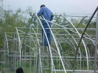 China IGreen Small Single Span Greenhouses Plastic Film Agricultural Greenhouses for sale