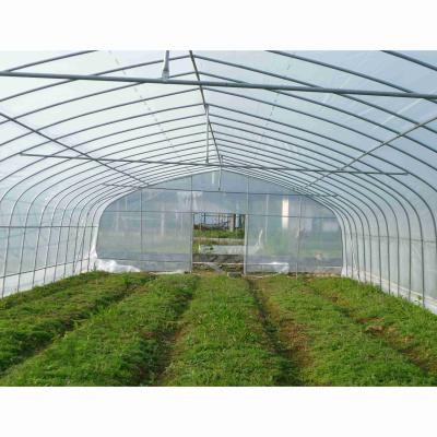 China IGreen Small Single Span Greenhouses Plastic Film Agricultural Greenhouses for sale