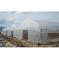 China IGreen Agricultural Greenhouse for Tomato Agricultural Farming High Tunnel Agriculture Intelligent Green House for sale