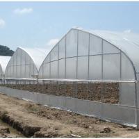 China IGreen Agricultural Greenhouse for Tomato Agricultural Farming High Tunnel Agriculture Intelligent Green House for sale