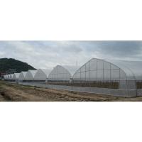 China IGreen Agricultural Greenhouse for Tomato Agricultural Farming High Tunnel Agriculture Intelligent Green House for sale