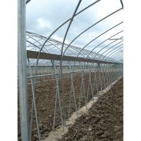 China IGreen Agricultural Greenhouse for Tomato Agricultural Farming High Tunnel Agriculture Intelligent Green House for sale