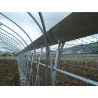 China IGreen Agricultural Greenhouse for Tomato Agricultural Farming High Tunnel Agriculture Intelligent Green House for sale