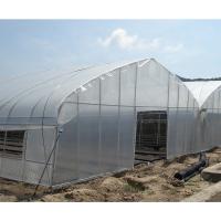 China IGreen Agricultural Greenhouse for Tomato Agricultural Farming High Tunnel Agriculture Intelligent Green House for sale