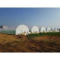 China IGreen Greenhouse Tunnel Mushroom Green House With Galvanized Steel Frame Other Greenhouses for sale