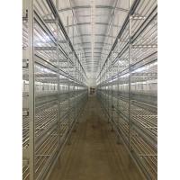 China IGreen Greenhouse Tunnel Mushroom Green House With Galvanized Steel Frame Other Greenhouses for sale