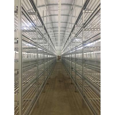 China IGreen Greenhouse Tunnel Mushroom Green House With Galvanized Steel Frame Other Greenhouses for sale