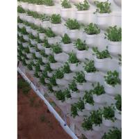 China IGreen New Designed Wall Type Hydroponic Vertical Growing Systems for sale