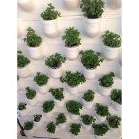 China IGreen New Designed Wall Type Hydroponic Vertical Growing Systems for sale