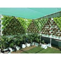 China IGreen New Designed Wall Type Hydroponic Vertical Growing Systems for sale