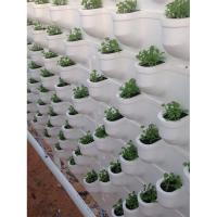 China IGreen New Designed Wall Type Hydroponic Vertical Growing Systems for sale