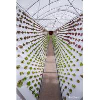 China IGreen New Designed Wall Type Hydroponic Vertical Growing Systems for sale