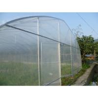 China IGreen Greenhouse Plastic Agricultural Polycarbonate Greenhouse Metal Plastic Film Large for sale
