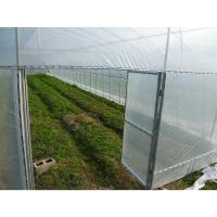 China IGreen Greenhouse Plastic Agricultural Polycarbonate Greenhouse Metal Plastic Film Large for sale