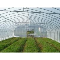 China IGreen Greenhouse Plastic Agricultural Polycarbonate Greenhouse Metal Plastic Film Large for sale