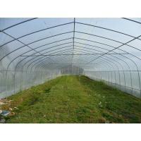 China IGreen Greenhouse Plastic Agricultural Polycarbonate Greenhouse Metal Plastic Film Large for sale