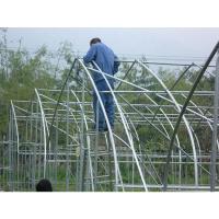 China IGreen Greenhouse Plastic Agricultural Polycarbonate Greenhouse Metal Plastic Film Large for sale