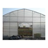 China IGreen Greenhouse Plastic Agricultural Polycarbonate Greenhouse Metal Plastic Film Large for sale
