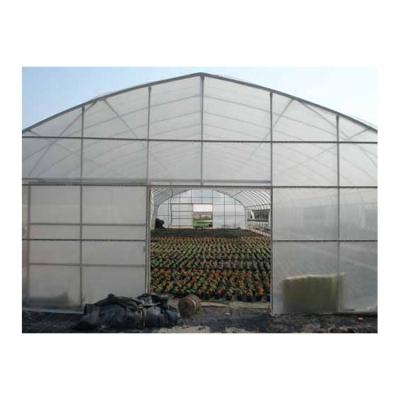 China IGreen Greenhouse Plastic Agricultural Polycarbonate Greenhouse Metal Plastic Film Large for sale