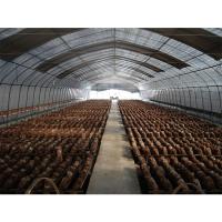 China Best Quality  Film Type Cover Material Agriculture Greenhouse Anti Insect Net Black for sale