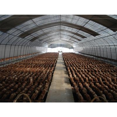 China Best Quality  Film Type Cover Material Agriculture Greenhouse Anti Insect Net Black for sale