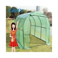 China IGreen Mini Greenhouse for Indoor Outdoor Plastic Plant Greenhouses for sale