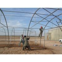 China IGreen 150/200Micron Plastic Film Greenhouse for Gulf Countries for sale