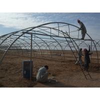 China IGreen 150/200Micron Plastic Film Greenhouse for Gulf Countries for sale