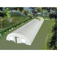 China IGreen 150/200Micron Plastic Film Greenhouse for Gulf Countries for sale