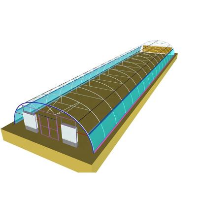 China IGreen 150/200Micron Plastic Film Greenhouse for Gulf Countries for sale