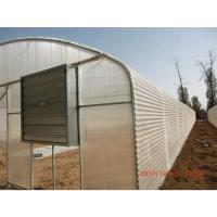 China IGreen Vegetable Planting High Quality Agriculture Greenhouse With Hydroponic Systems for sale