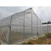 China IGreen Strong Agricultural Frame Greenhouse Customized Length for sale