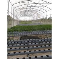 China IGreen Strong Agricultural Frame Greenhouse Customized Length for sale