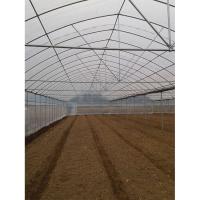 China IGreen Low Cost Single-Span Small Agricultural Greenhouse with Film Cover for Vegetables for sale