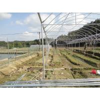 China IGreen Low Cost Single-Span Small Agricultural Greenhouse with Film Cover for Vegetables for sale