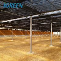China IGreen Multi Tunnel Industrial Greenhouse Pipe Agricultural Multi Span Tunnel Greenhouse for sale
