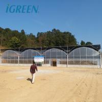 China IGreen Multi Tunnel Industrial Greenhouse Pipe Agricultural Multi Span Tunnel Greenhouse for sale