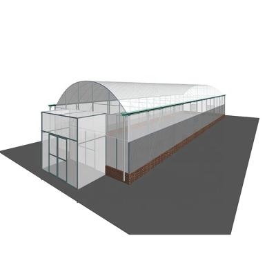 China IGreen Multi Tunnel Industrial Greenhouse Pipe Agricultural Multi Span Tunnel Greenhouse for sale