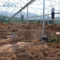 China 30 X 100 Greenhouse Greenhouses for Vegetable Garden Chinese Greenhouse Kit Customized Film Large Green House Metal Frame 4m--7m for sale