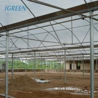 China 30 X 100 Greenhouse Greenhouses for Vegetable Garden Chinese Greenhouse Kit Customized Film Large Green House Metal Frame 4m--7m for sale