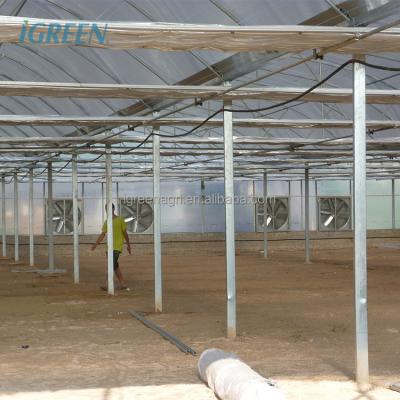 China 30 X 100 Greenhouse Greenhouses for Vegetable Garden Chinese Greenhouse Kit Customized Film Large Green House Metal Frame 4m--7m for sale