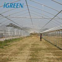China IGreen Multi-Span Agricultural Greenhouses Large Single PE Material Film Cover for Flowers and Vegetables Growing for sale