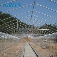 China IGreen Multi-Span Agricultural Greenhouses Large Single PE Material Film Cover for Flowers and Vegetables Growing for sale