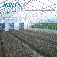 China IGreen Multi-Span Agricultural Greenhouses Large Single PE Material Film Cover for Flowers and Vegetables Growing for sale