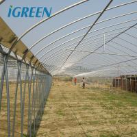 China IGreen Multi-Span Agricultural Greenhouses Large Single PE Material Film Cover for Flowers and Vegetables Growing for sale