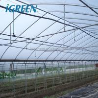 China IGreen Multi-Span Agricultural Greenhouses Large Single PE Material Film Cover for Flowers and Vegetables Growing for sale