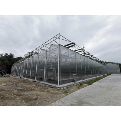 China Smart Greenhouse with Customized Length and Hot Dipped Galvanized Steel Frame Featuring Roof and Side Vents for sale